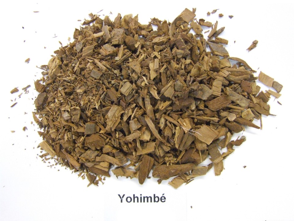 Yohimbe - Herbs Natura